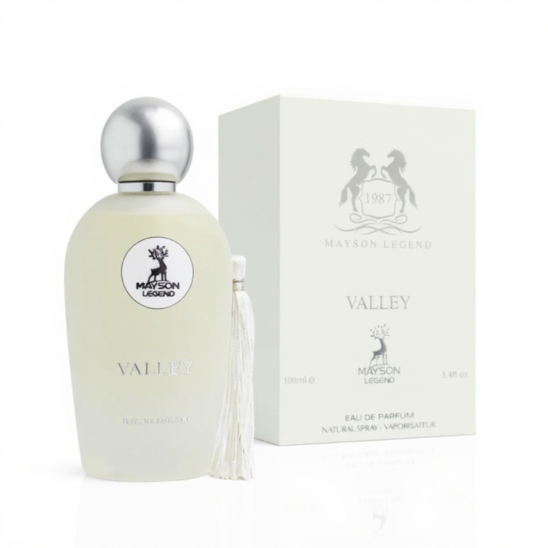 מיסון לגנד ואליי א.ד.פ 100 מ"ל- MAYSON LEGEND VALLEY 100 ml - Mary shop